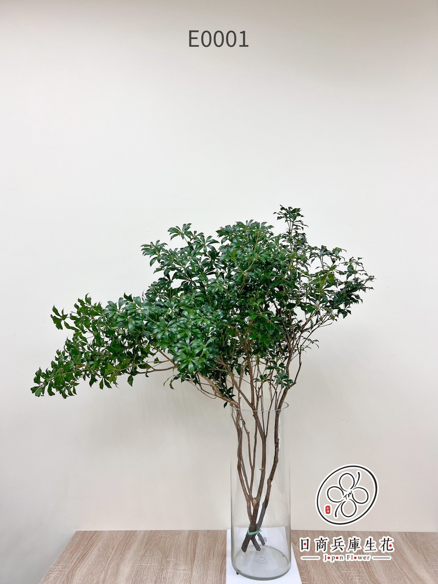 馬醉木(120CM) - 日商兵庫生花國際股份有限公司日商兵庫生花國際股份有限公司